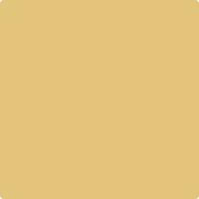 HC-11 Marblehead Gold a Paint Color by Benjamin Moore | JC Licht
