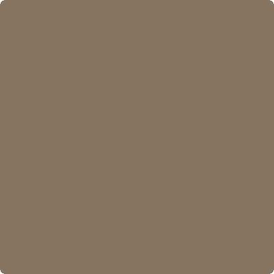 CC-510 Buckhorn a Paint Color by Benjamin Moore | JC Licht